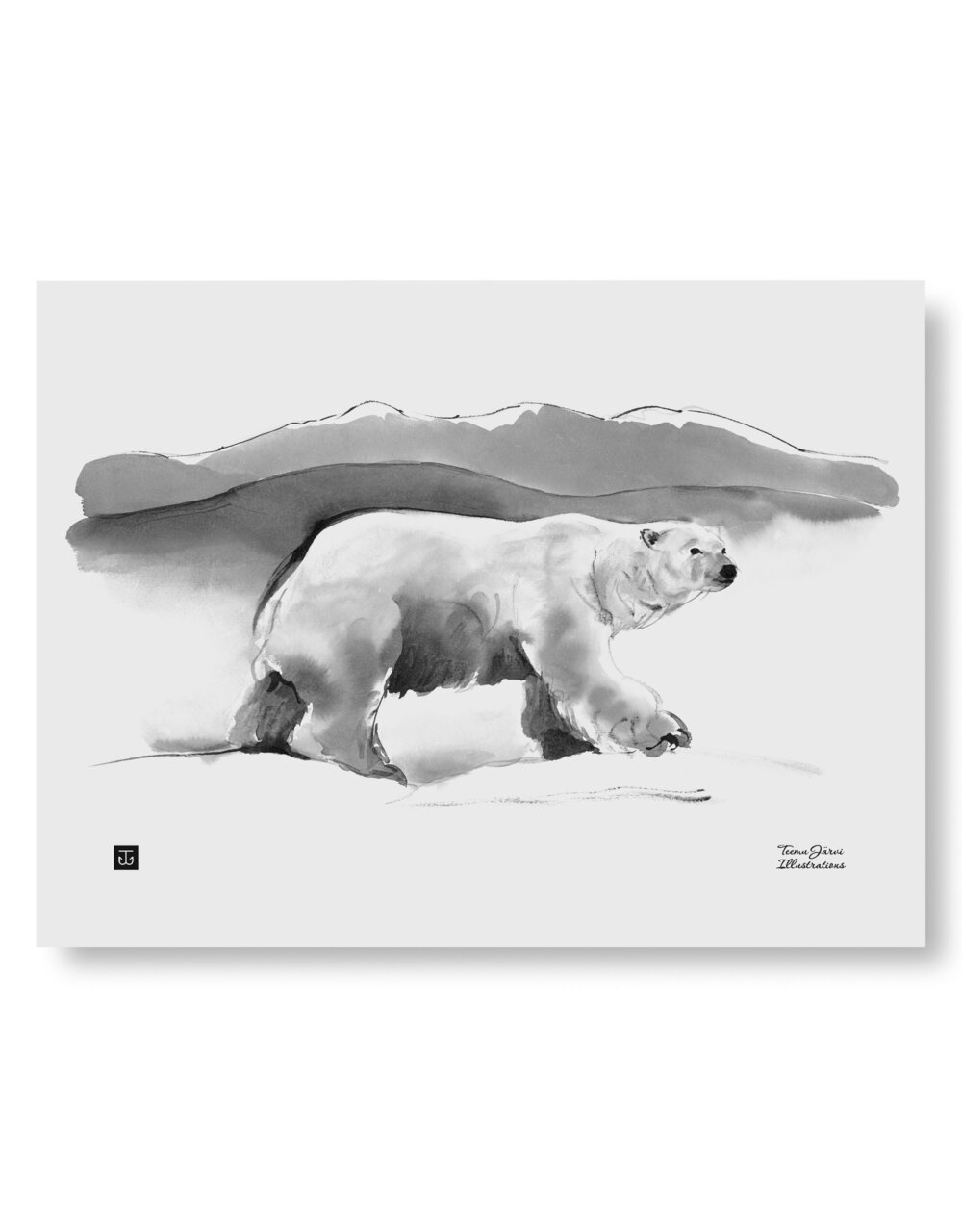 Teemu Järvi Poster polar bear 30 x 40 cm - blikfang