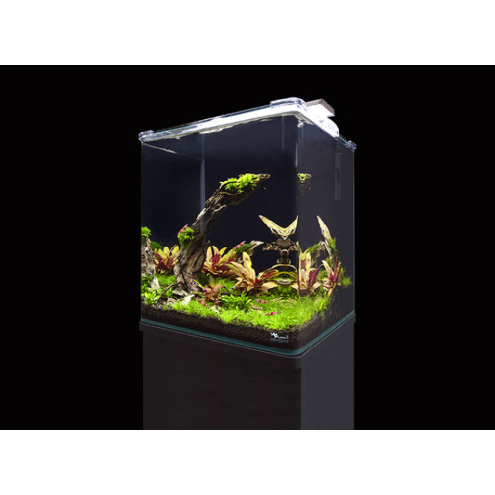 Aquatlantis Cube Curve Essential - De Belgische webshop voor al uw ...