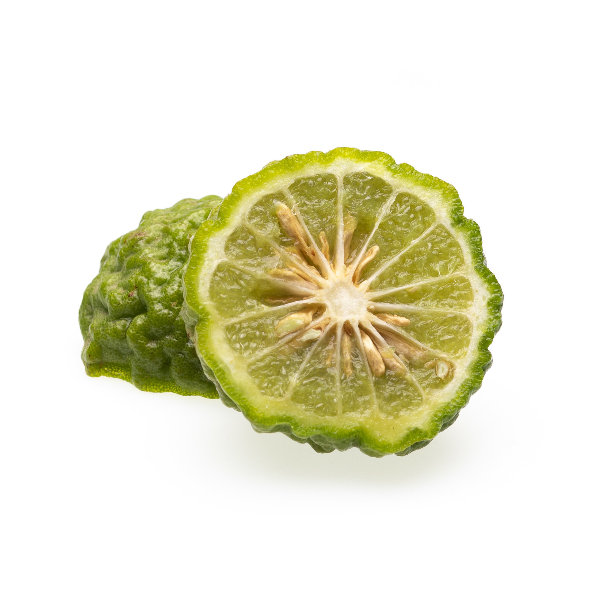 Kaffir lime - Dutch Wasabi