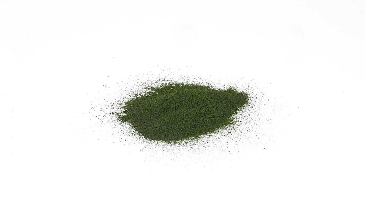 Algae Powder Emerald 180 gram - Dutch Wasabi