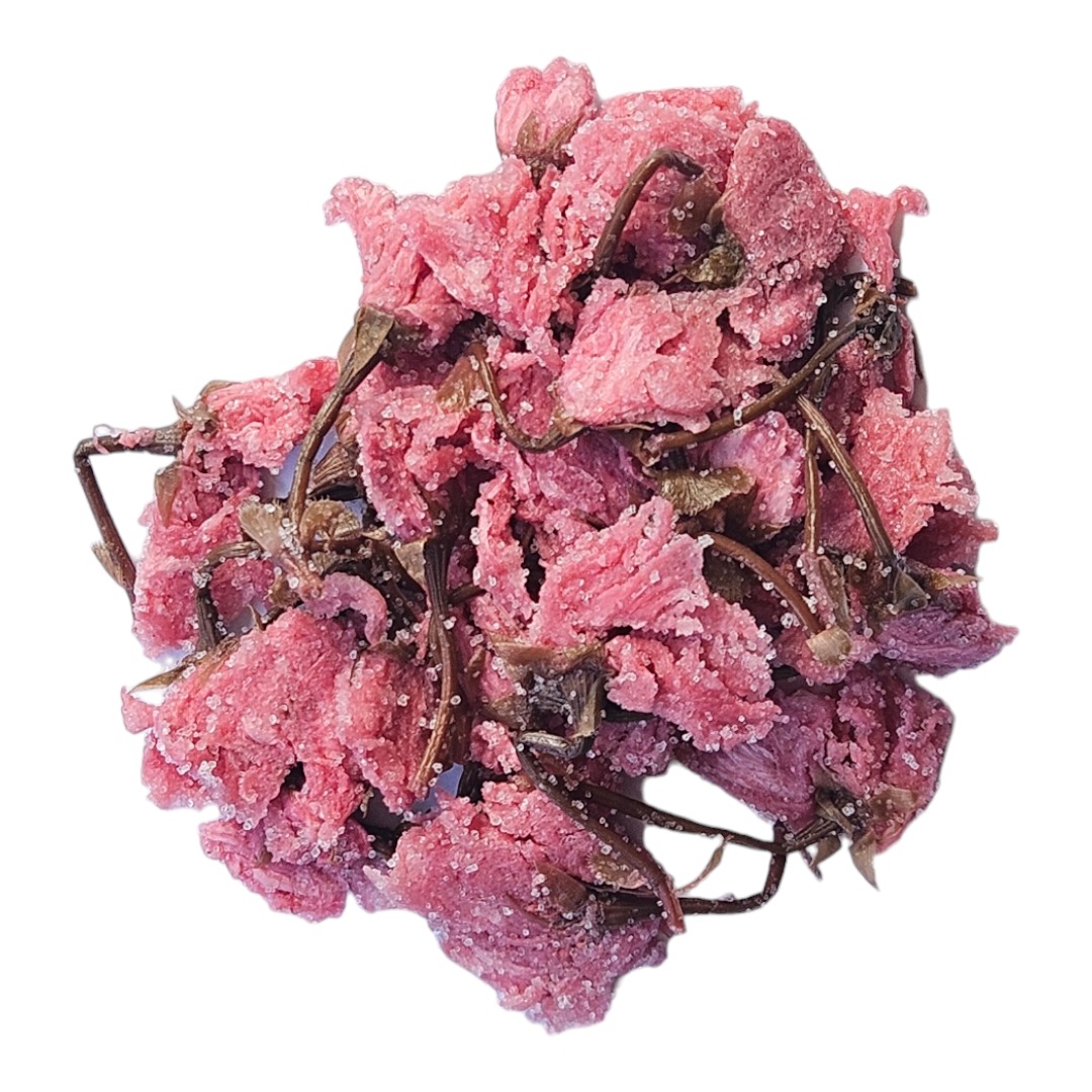 Salt Pickled Sakura 30g - Dutch Wasabi