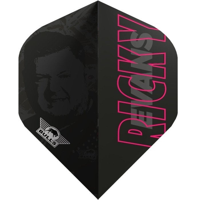 Plumas Bull's Ricky Evans 80 E2 NO2 - Dartshopper.es | Tienda de Dardos