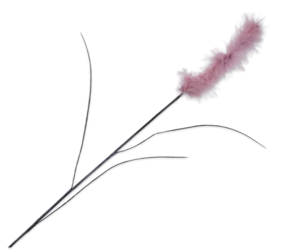 GRAS PLUIM LAVEND 102 cm - kleur&geur