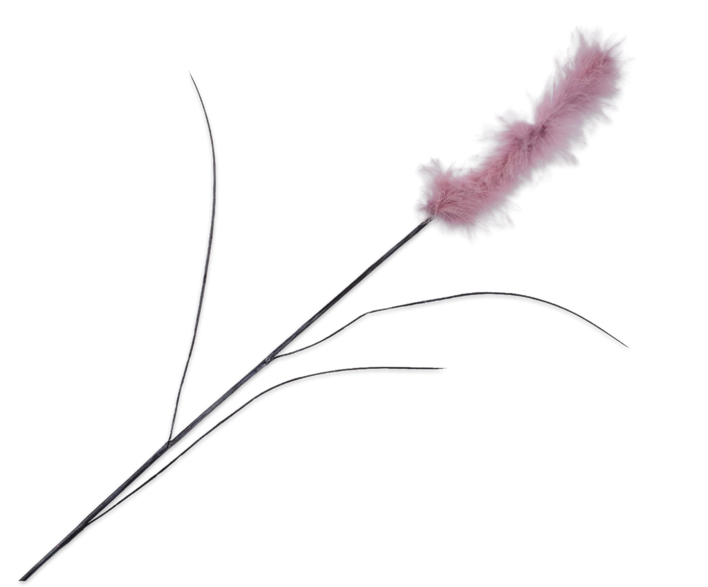 GRAS PLUIM LAVEND 102 cm - kleur&geur