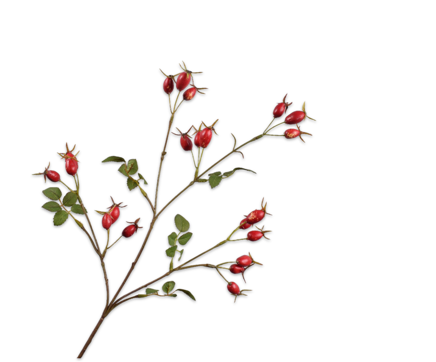 Silk-ka ROZENBOTTEL TAK ROOD 67 cm - kleur&geur