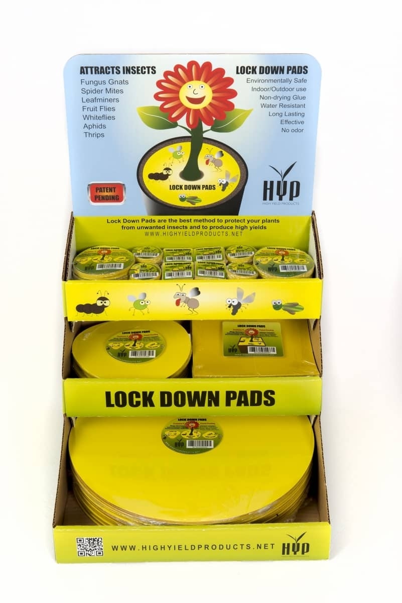 Lockdown Pads | Yellow Sticky Insect Traps - Slims Place
