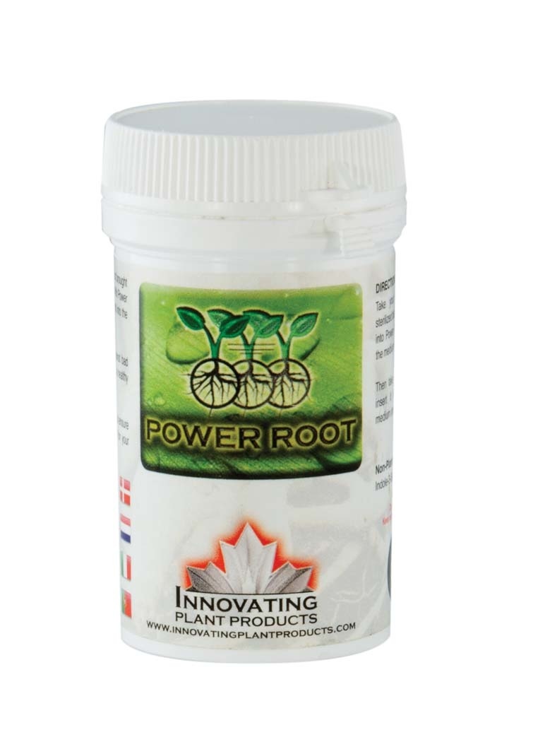 Innovating Plant Products Power Root | Rooting Formula - Slims Place
