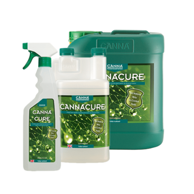 Spray & Grow | Mildew Protection Spray - Slims Place