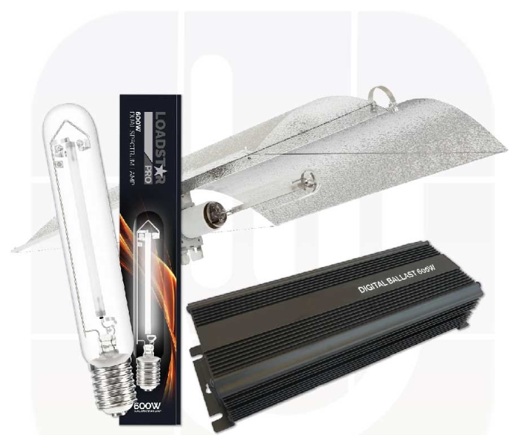 STANDARD 600W Light Kit with Adjust-a-Wings Enforcer MEDIUM - Slims Place