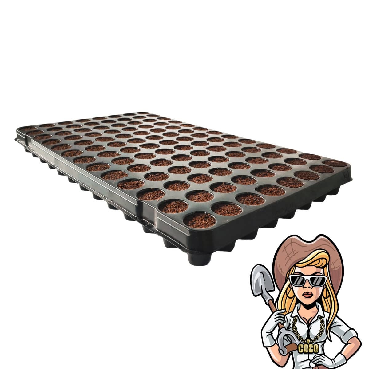 Plug life - Slims Place