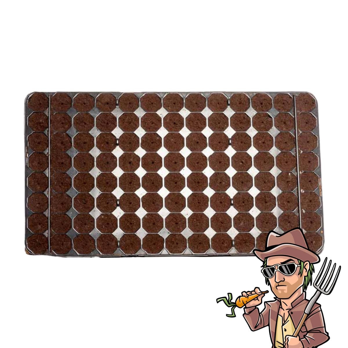 Plug life - Slims Place