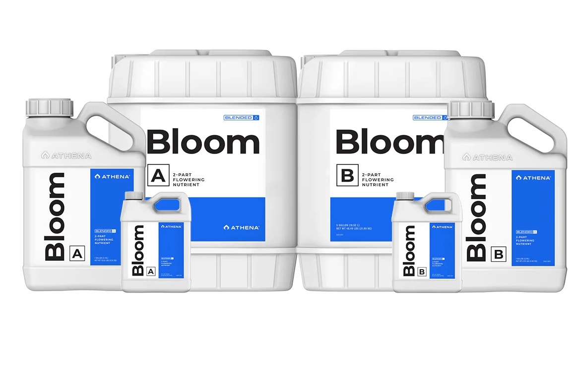 Athena - Blended Line - Slims Place