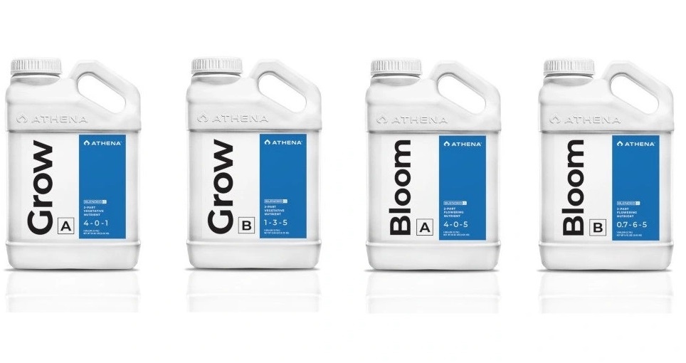 Athena - Blended Line - Slims Place