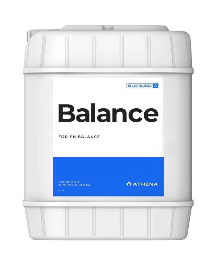 Athena - Blended Line Balance - Slims Place
