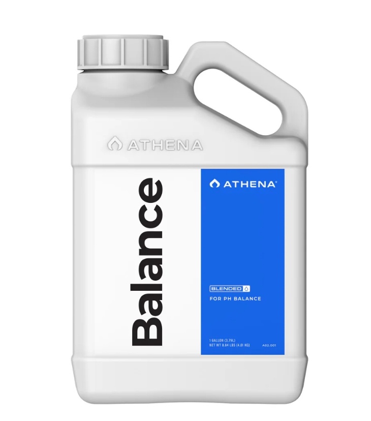 Athena - Blended Line Balance - Slims Place