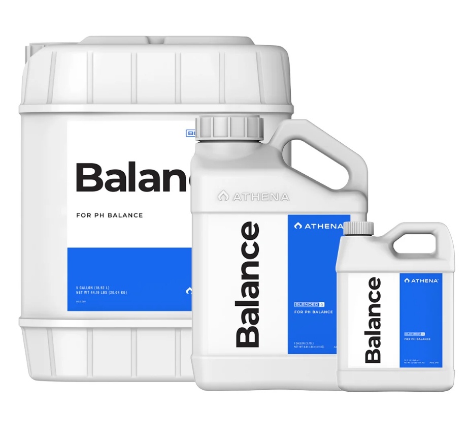 Athena - Blended Line Balance - Slims Place