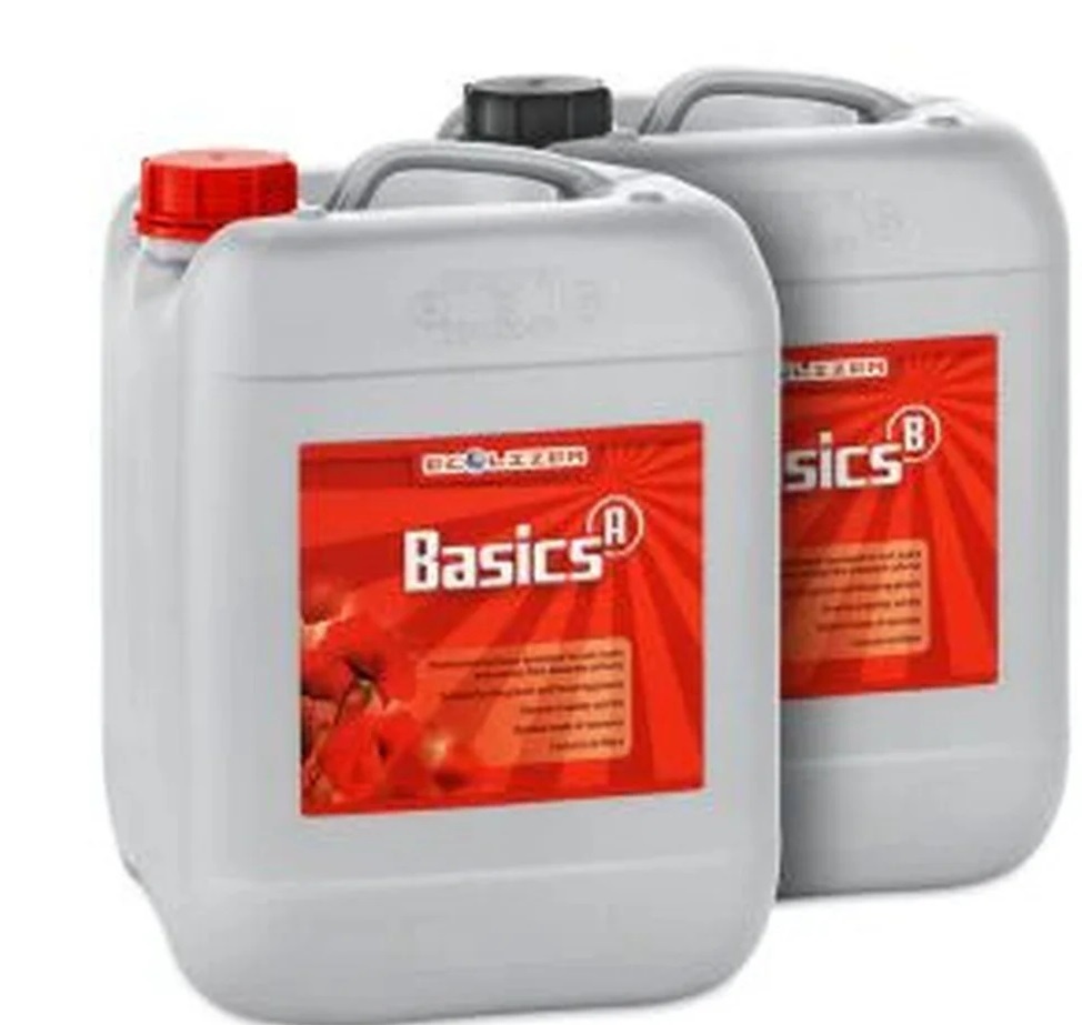 Ecolizer - Basics - Slims Place