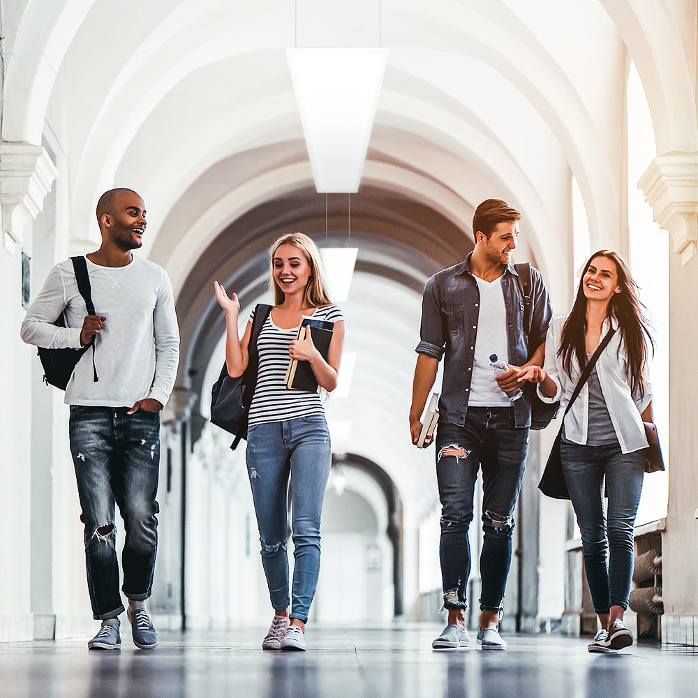 LED Panel Lumi 30x120 36 Watt 125lm/W - HOFTRONIC