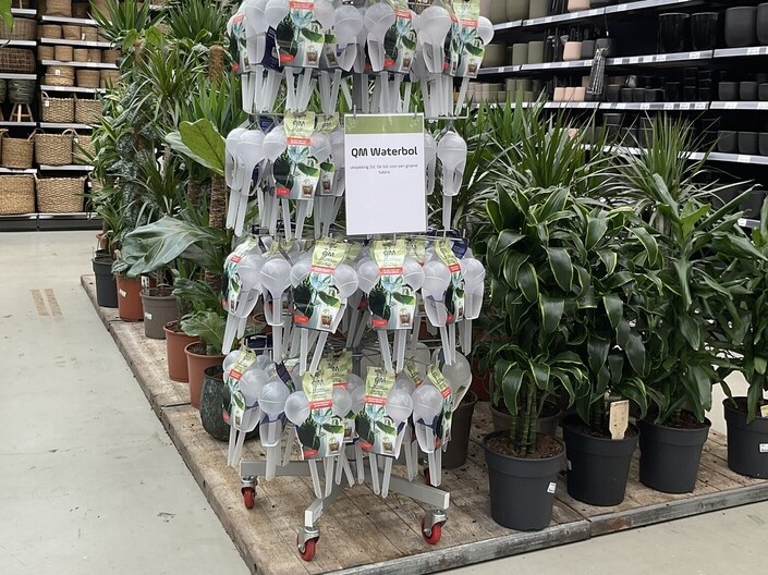 Beste impulsartikelen per seizoen in tuincentra