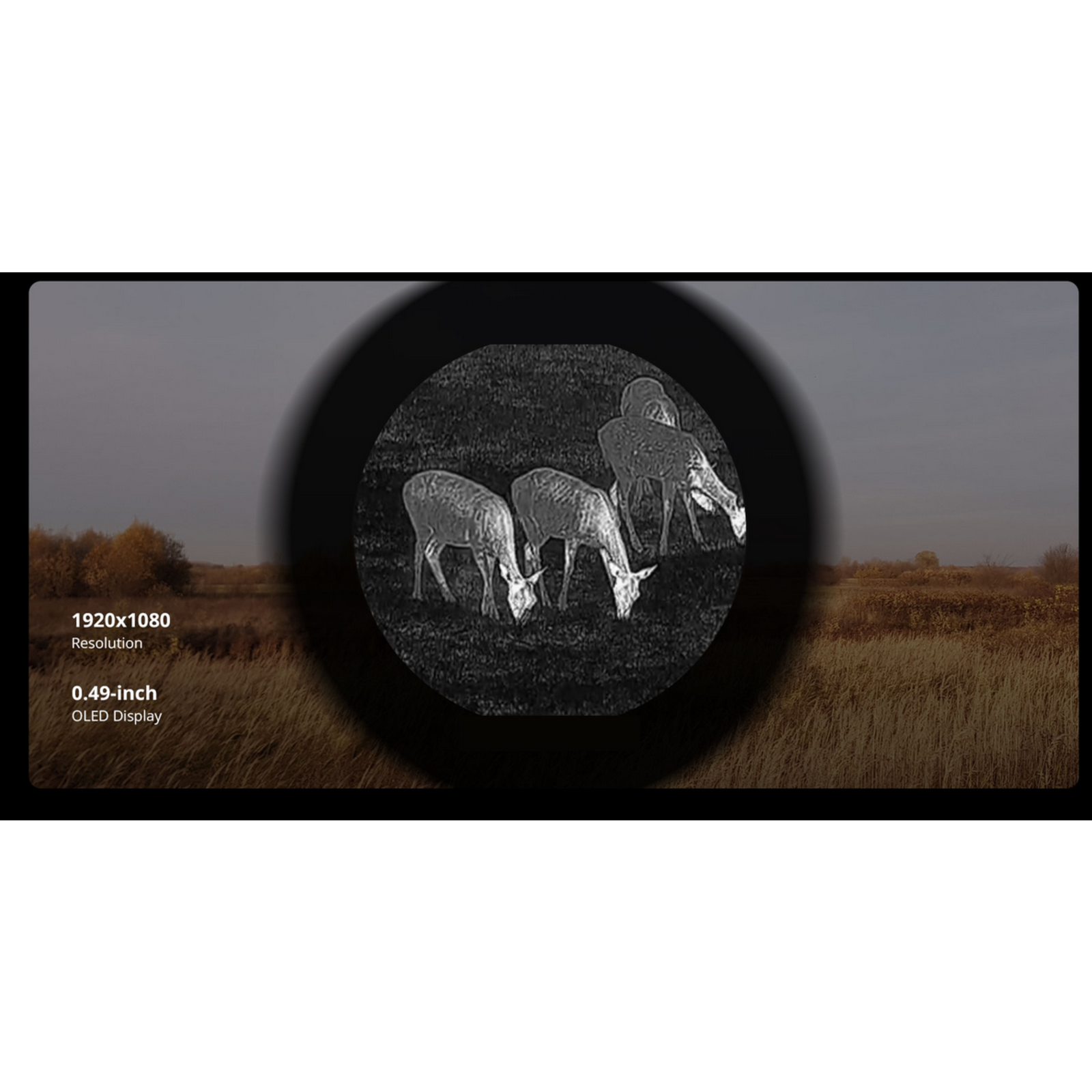 Thermal Imaging Clip-On Hikmicro Thunder 3.0 TQ50C - Airguns Europe