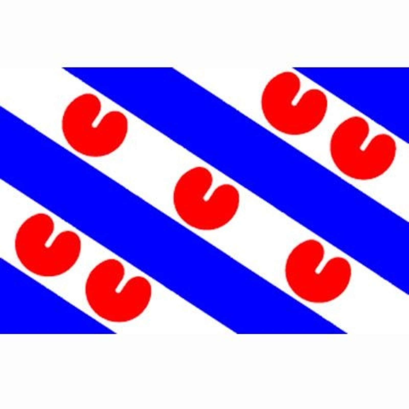 Vlag Friesland / Friese Vlag - Dicks Dumpstore