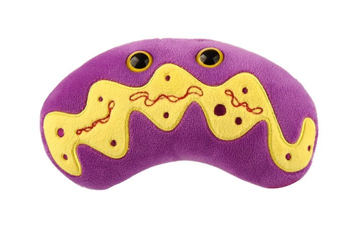 Giant Microbes - Mitochondria - Subcultures