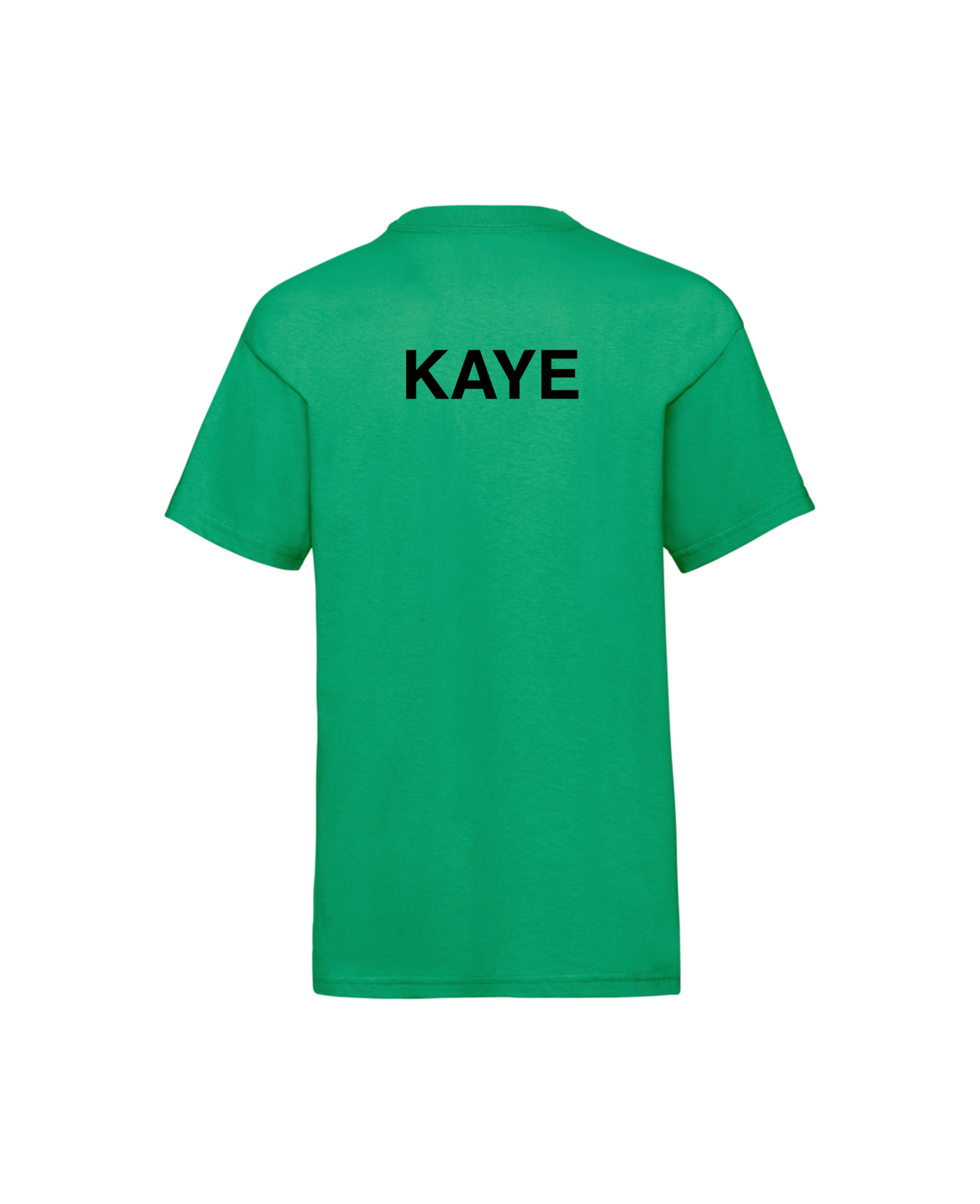 BMS Junior School House T- Shirts - No Limitz