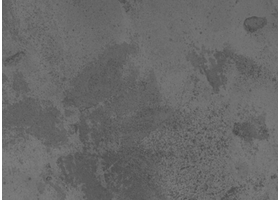 DALI - Interfaces and tools - DALIwarehouse.com