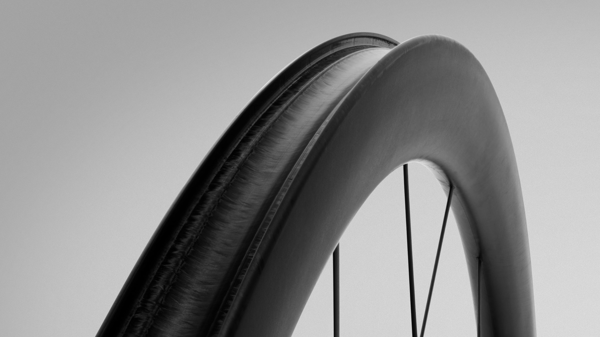 Lightweight Meilenstein Art Disc Wheelset | You order here ...