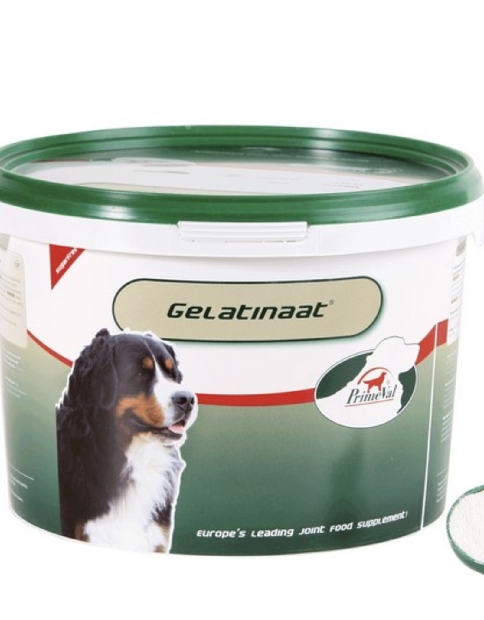 How Do You Prevent Joint Problems In Dogs