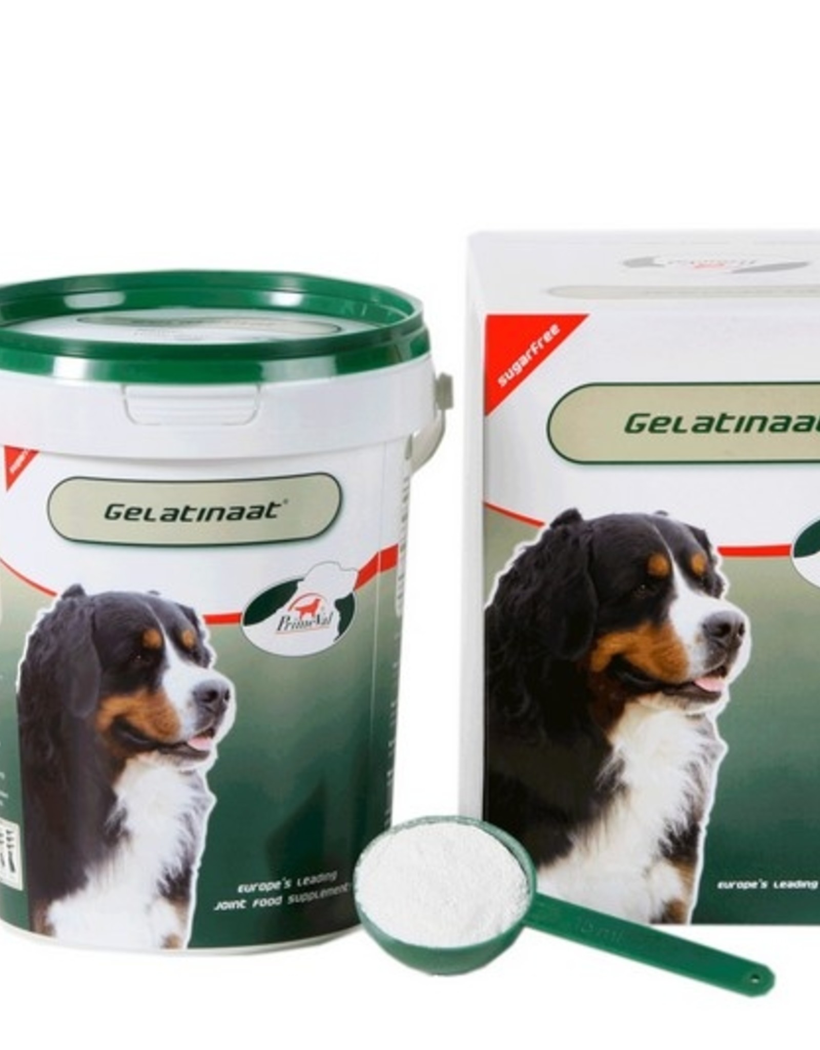 How Do You Prevent Joint Problems In Dogs