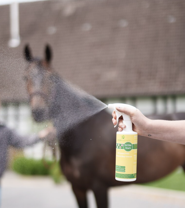 Blog - BremsenStop Intense Spray- the rescue in summer! - Ecobusters ...