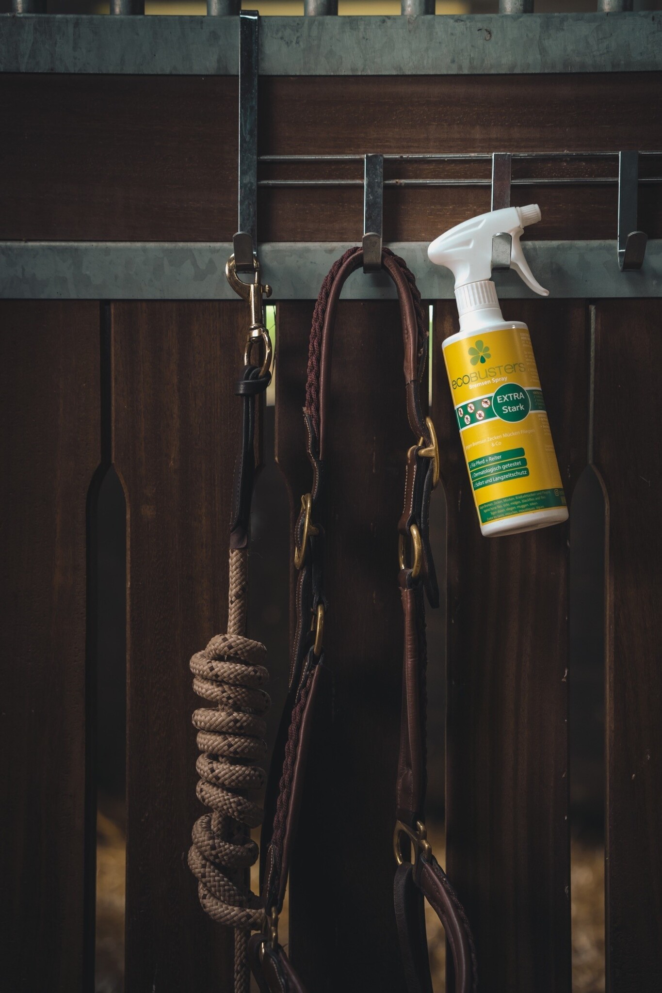 Blog - Important aspects of insect protection for horses - Ecobusters ...