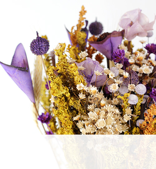 Dried Flowers & Decor | UK-Wide Dried Flowers Delivery - Dried Flowers ...