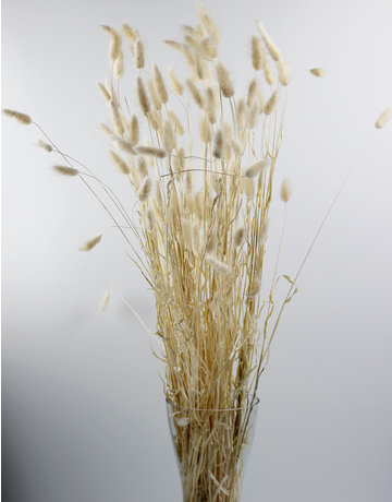 Dried Flowers & Decor | UK-Wide Dried Flowers Delivery - Dried Flowers ...