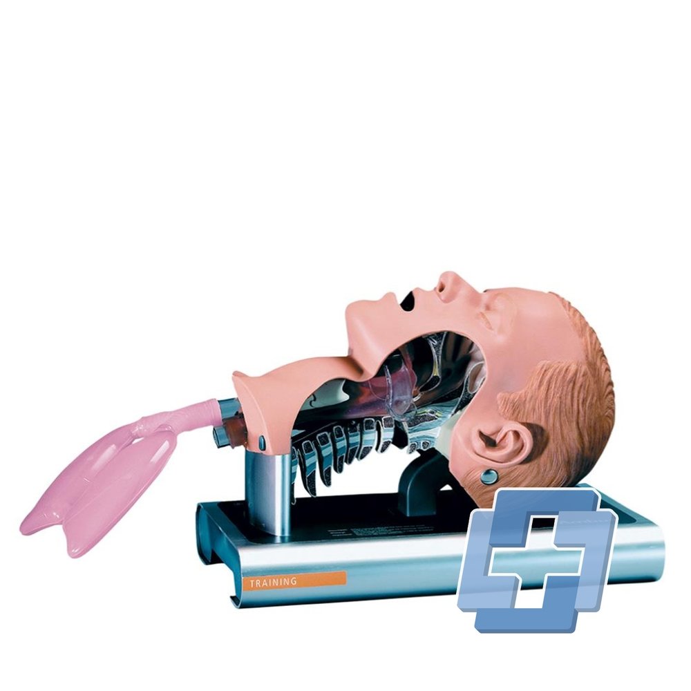 Ambu Airway management trainer | 5321007025 - EVAC
