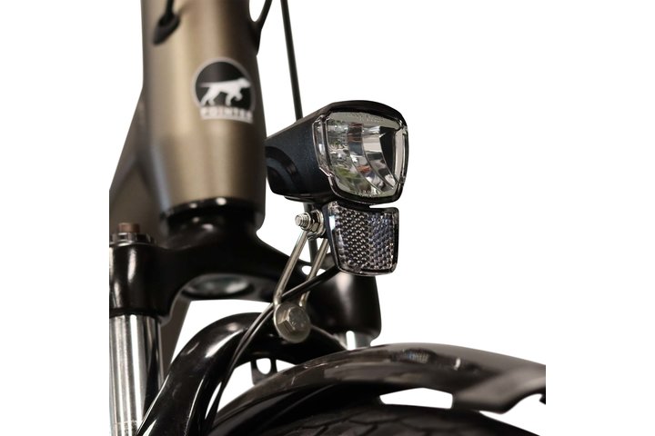 Pointer Arena Damesfiets 28 inch Frost Grey 7v - Fietsen4all.nl