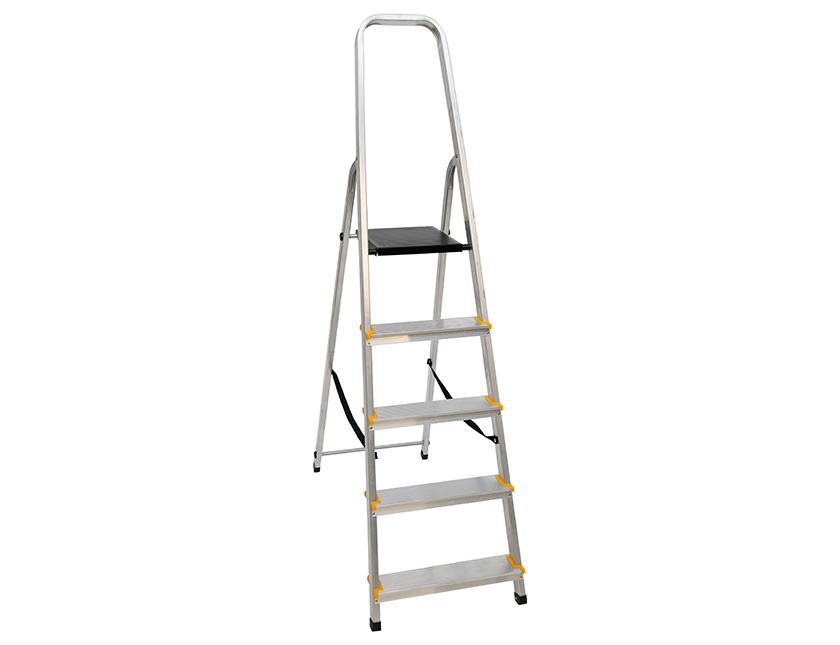 Easy Step Aluminum Ladder