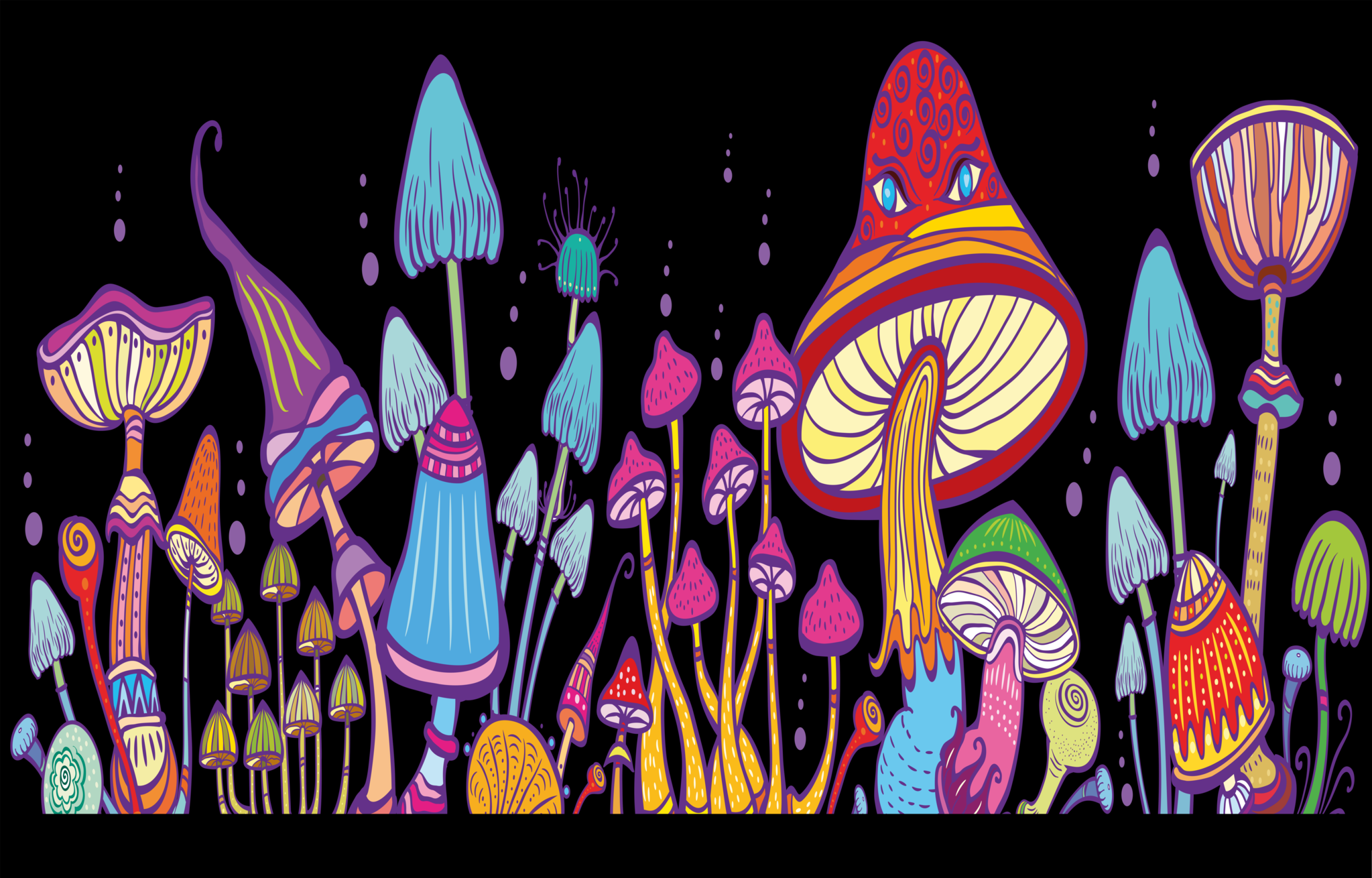 What types of psychedelics are there? - Drpaddo.com