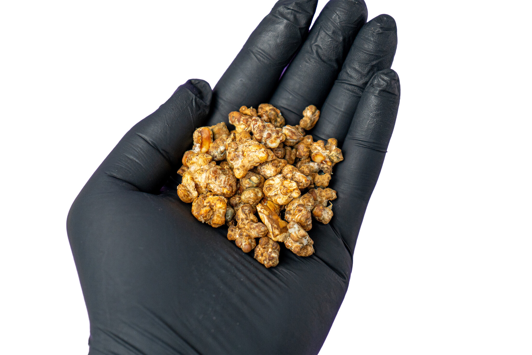 Magic Truffle Jar – Grow your own magic truffles easily at home ...