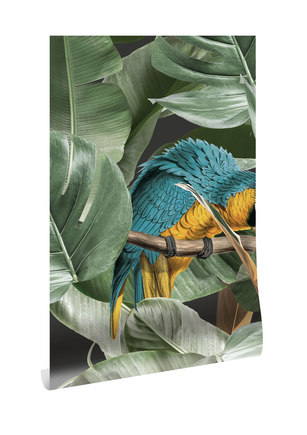 Botanical Wallpaper with Birds and Large Leaves WP-579 - KEK Amsterdam