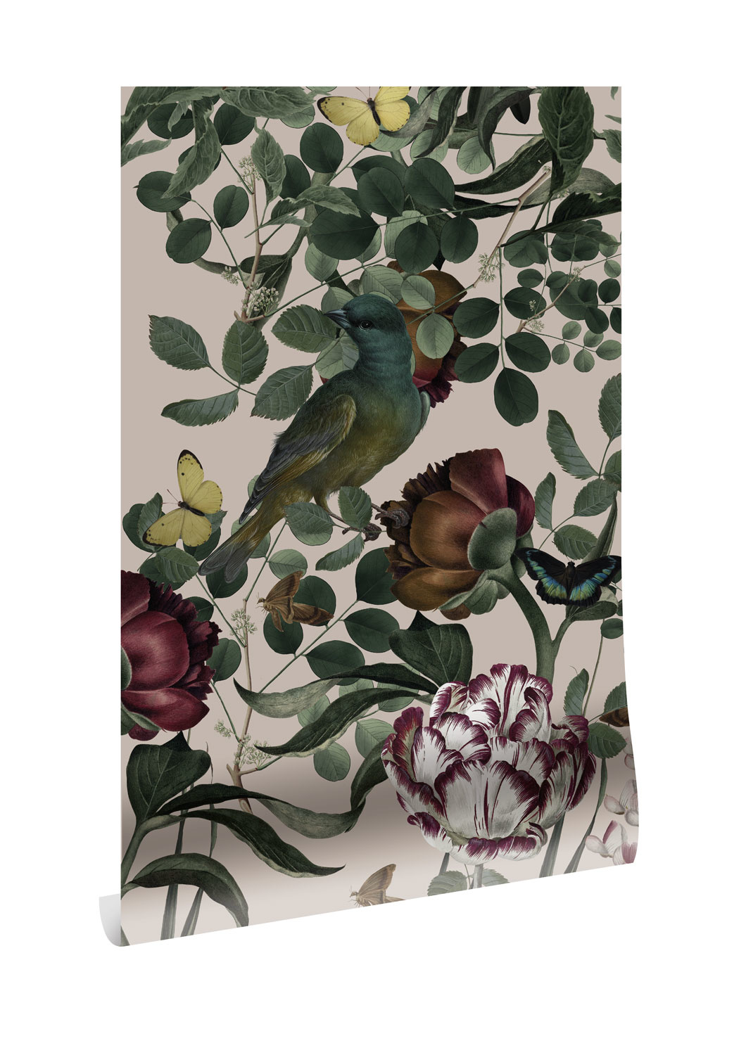 Botanisch behang met vogels Bold Botanics WP-708 - KEK Amsterdam