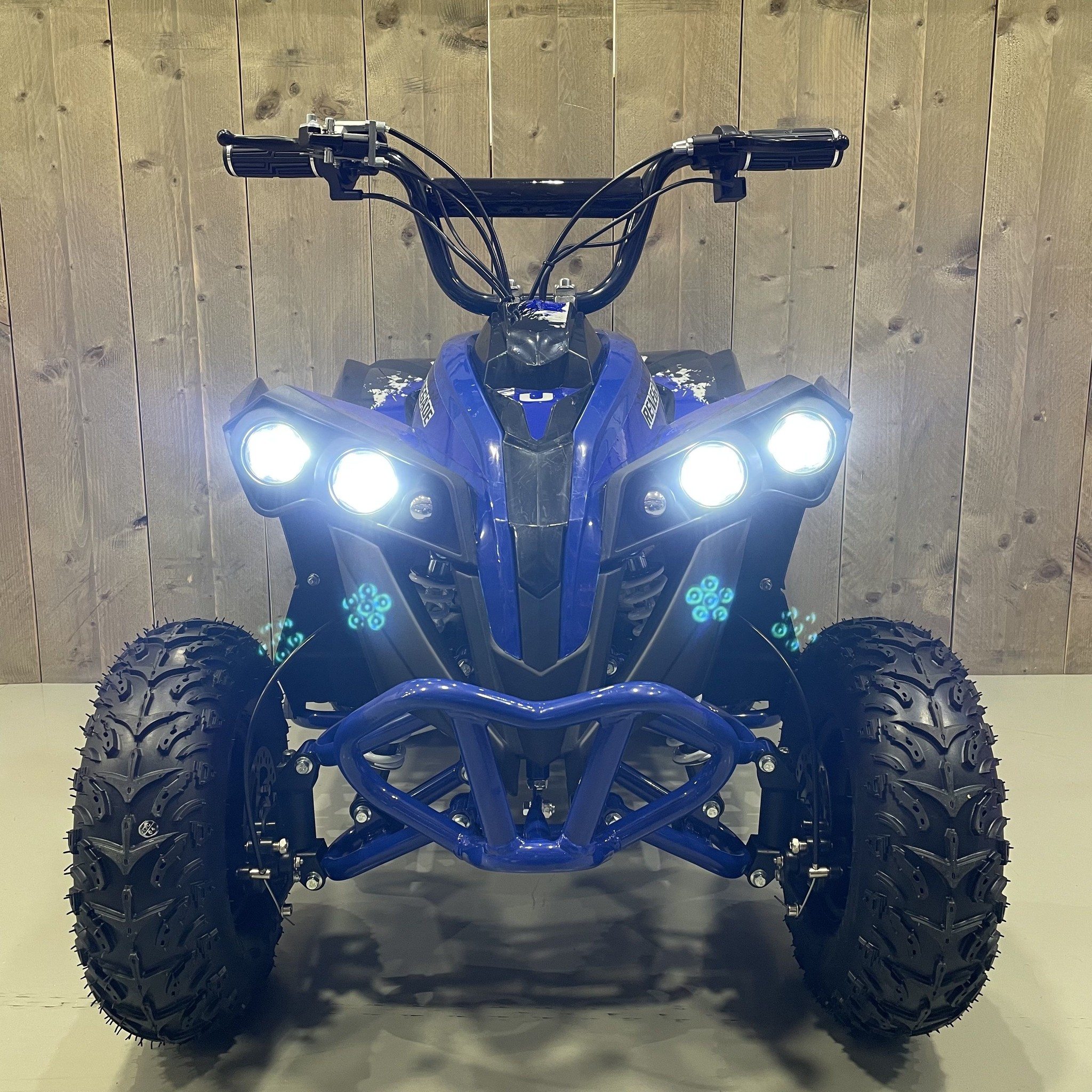 Blauwe Elektrische Kinderquad 1000W Met 3 Snelheden! - CarKiddo