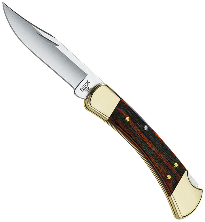 Buck 110 Folding Hunter Ebony kopen? - Messenshop.nl