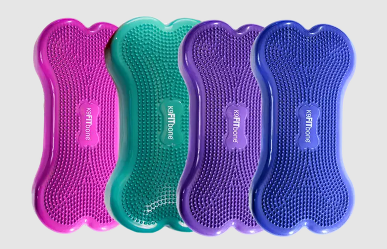 FitPaws® K9FITbone Balance Training – Original - FitHound