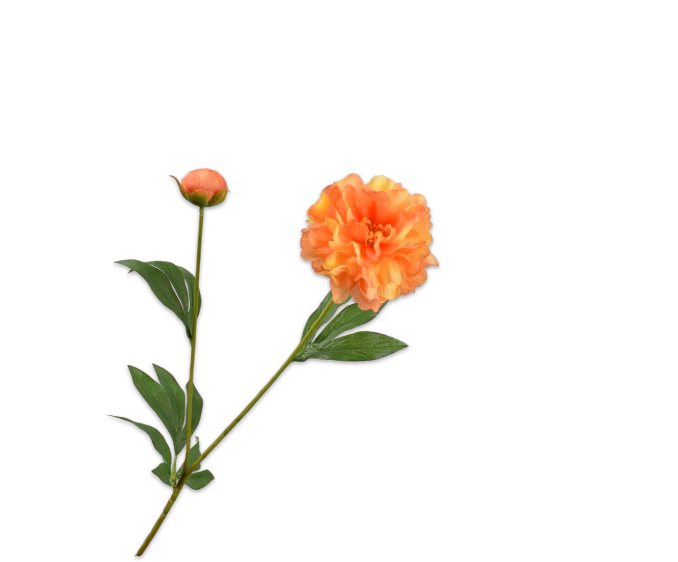 Silk-Ka PIOEN TAK ORANJE 65 cm - Kloosterhuis Wonen en Cadeaus