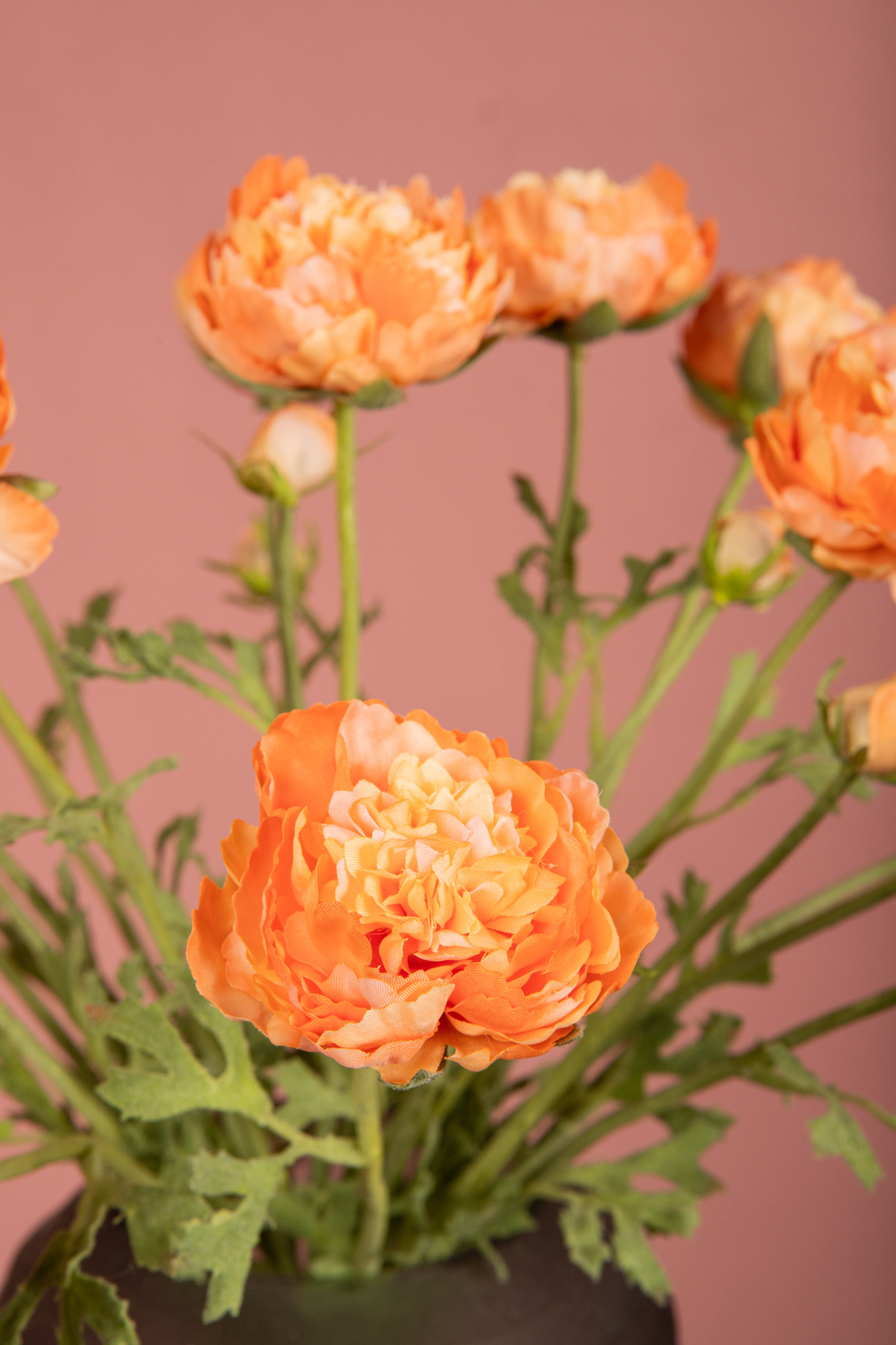 PTMD Ranonkel Flower Orange spray with bud and leaves - Kloosterhuis ...