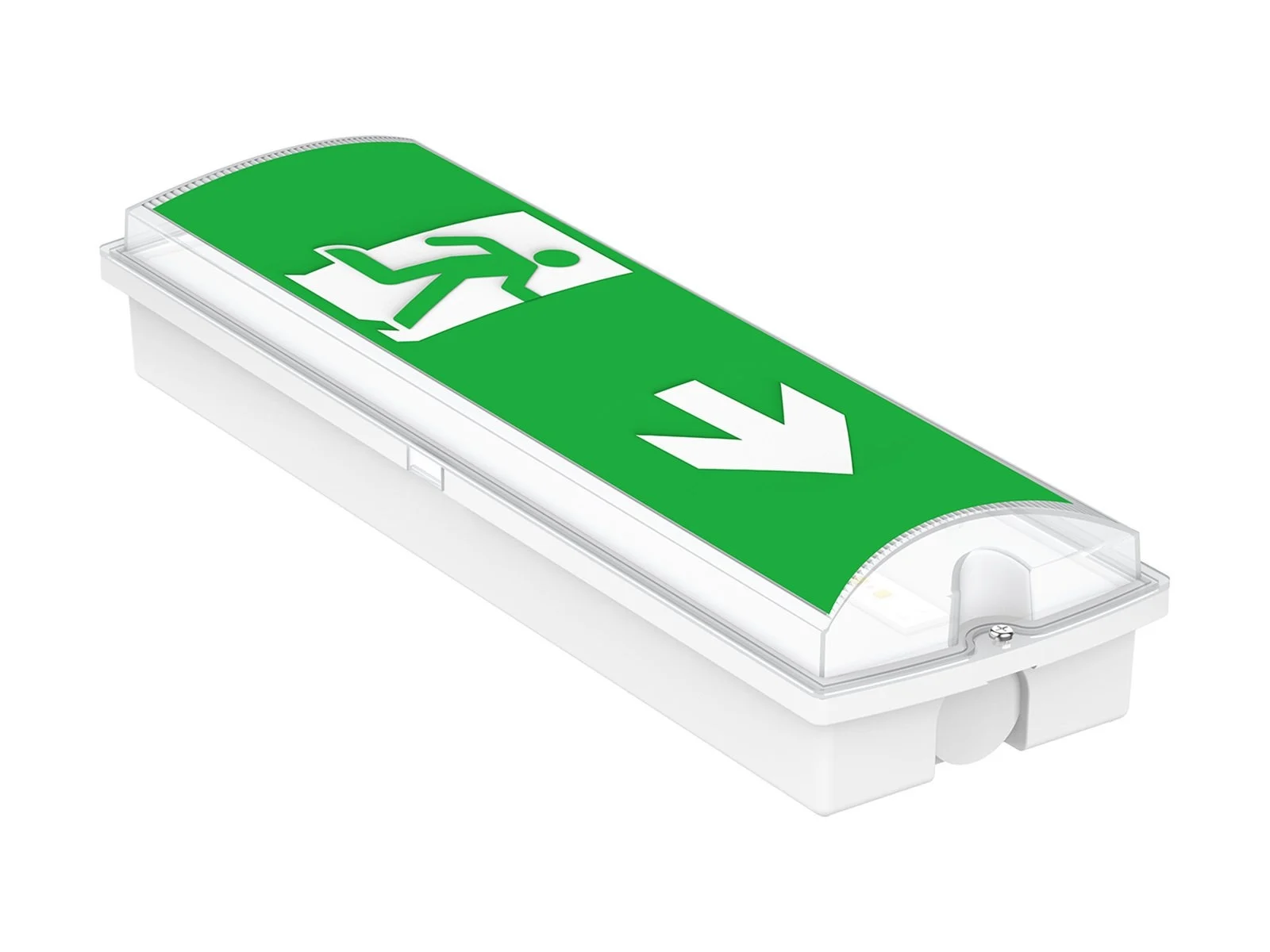 LED Emergency light 3W IP65 - led24.uk