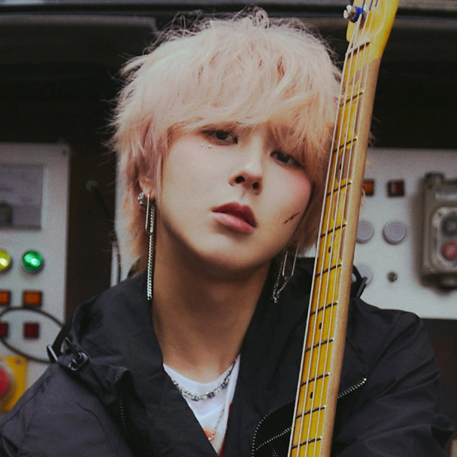 SOLO ARTIST - SUPERDRAGONTOYS