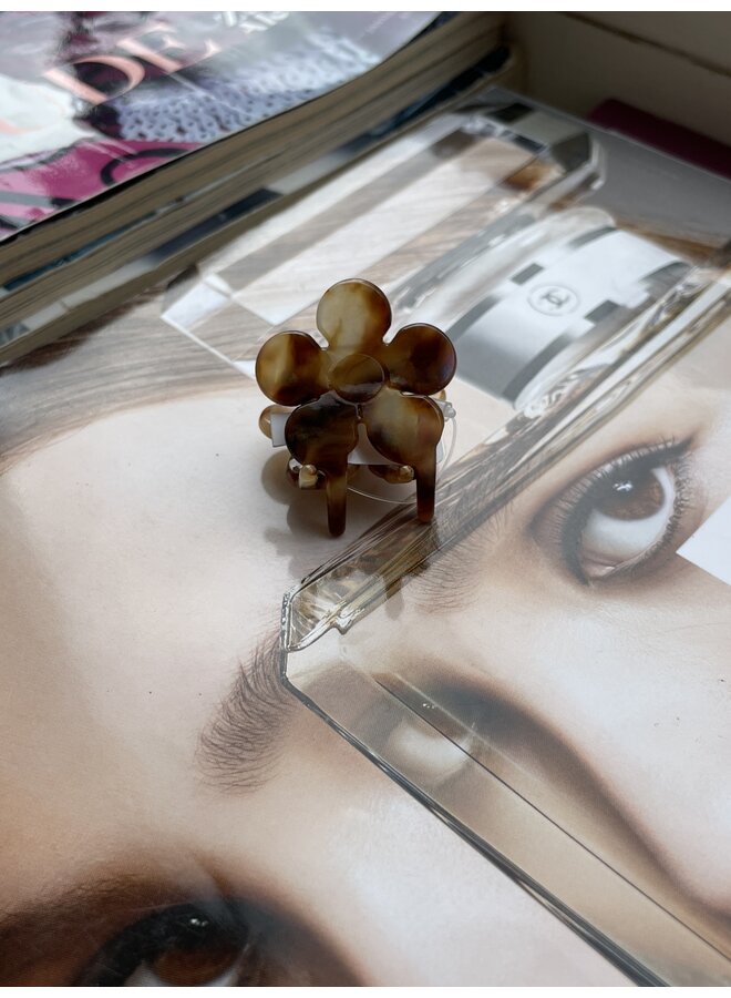 LE TREND - HOMEPAGINA - Le Trend